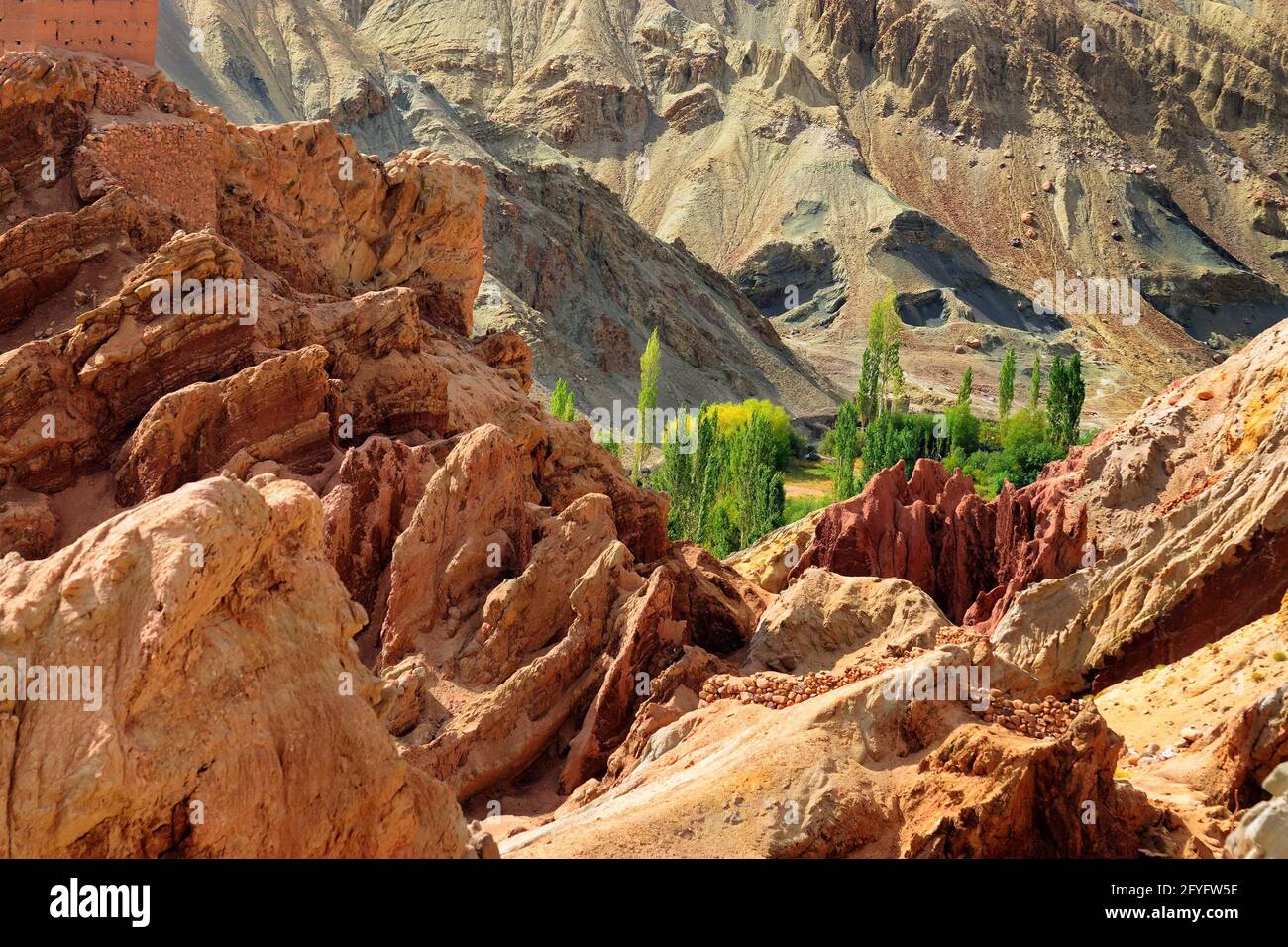 Ancient ruins at Basgo Monastery, Leh ladakh landscape, Jammu and ...