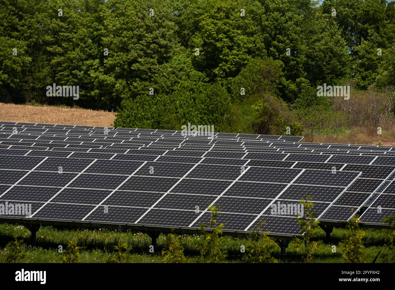 Conversion of sunlight into electricity hi-res stock photography and ...