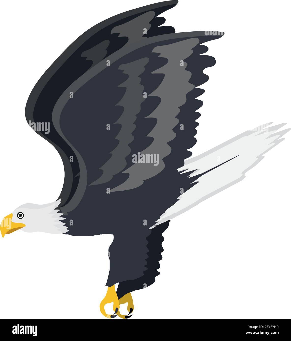 flying bald eagle Stock Vector Image & Art - Alamy