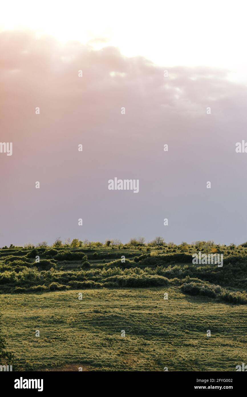 Beautiful view of a landscape with greenery under the sunset sky Stock ...