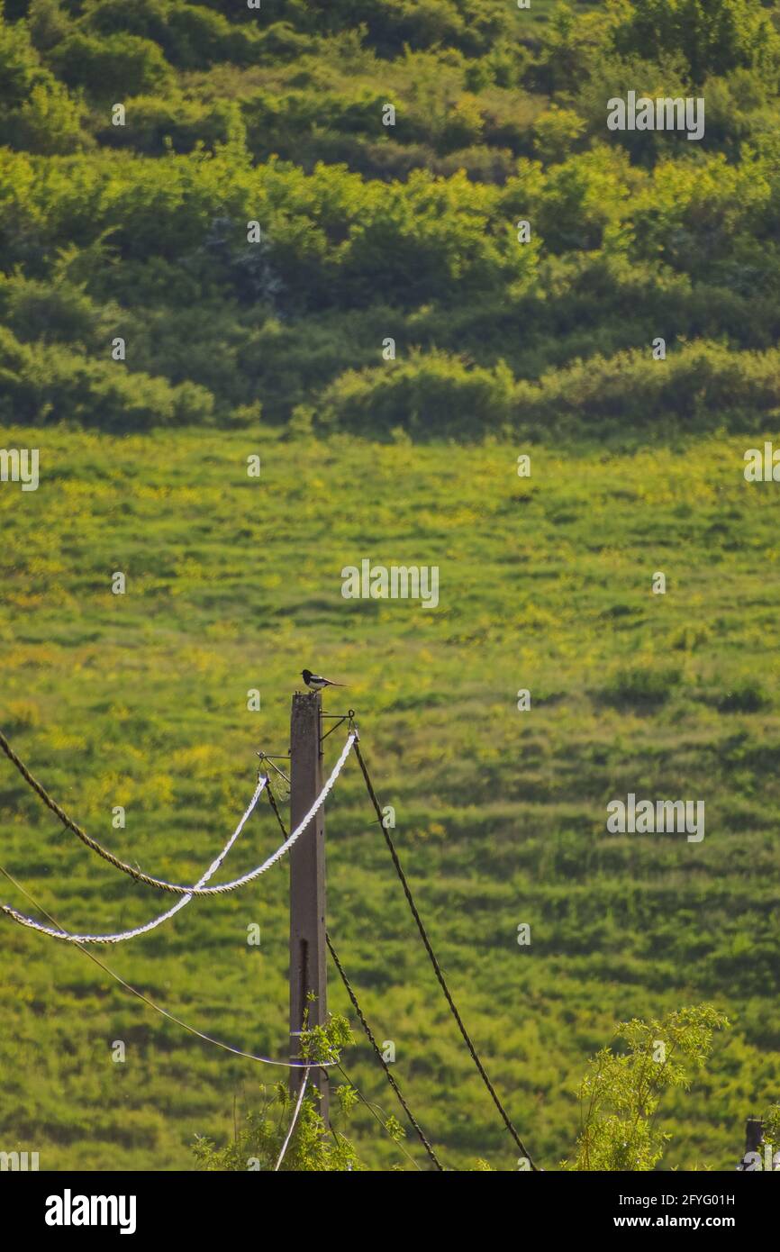 Vertical shot field hi-res stock photography and images - Alamy