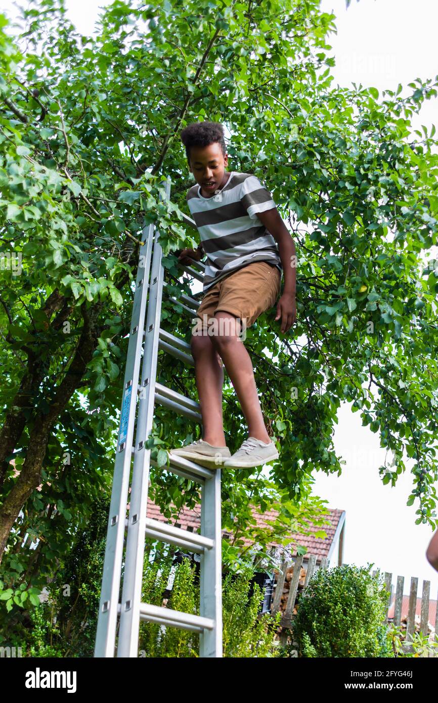 Boy climbing over the ladder near the tree in the backyard Stock Photo ...