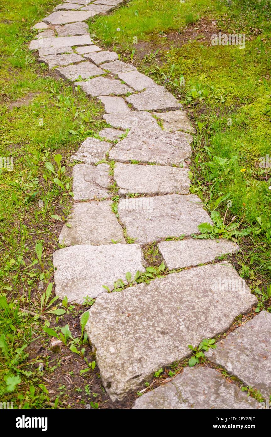 The path through lawn paved with stone tiles Stock Photo - Alamy
