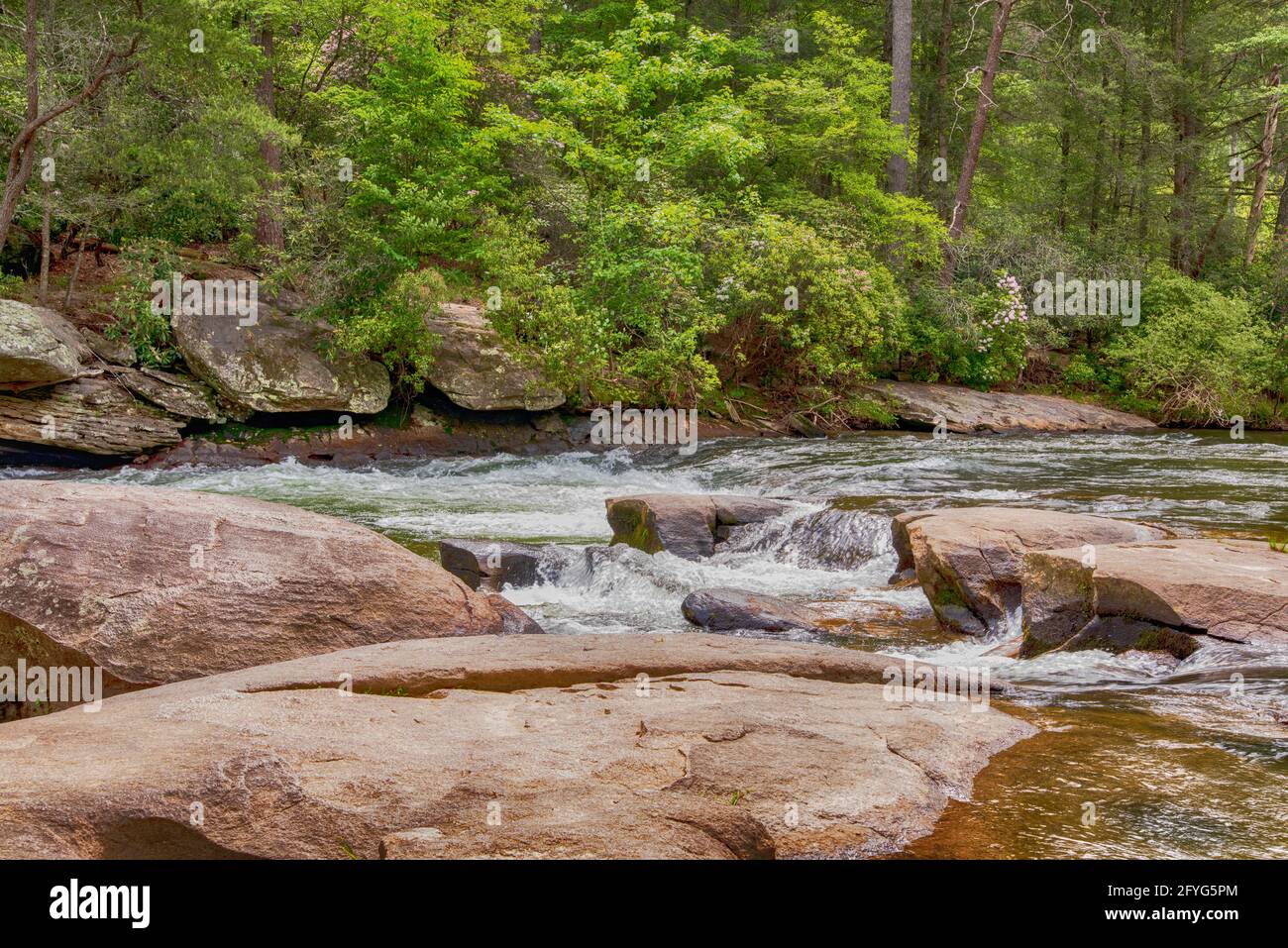 Rushing river flowing thru lush foliage in North Georgia. Toccoa River ...