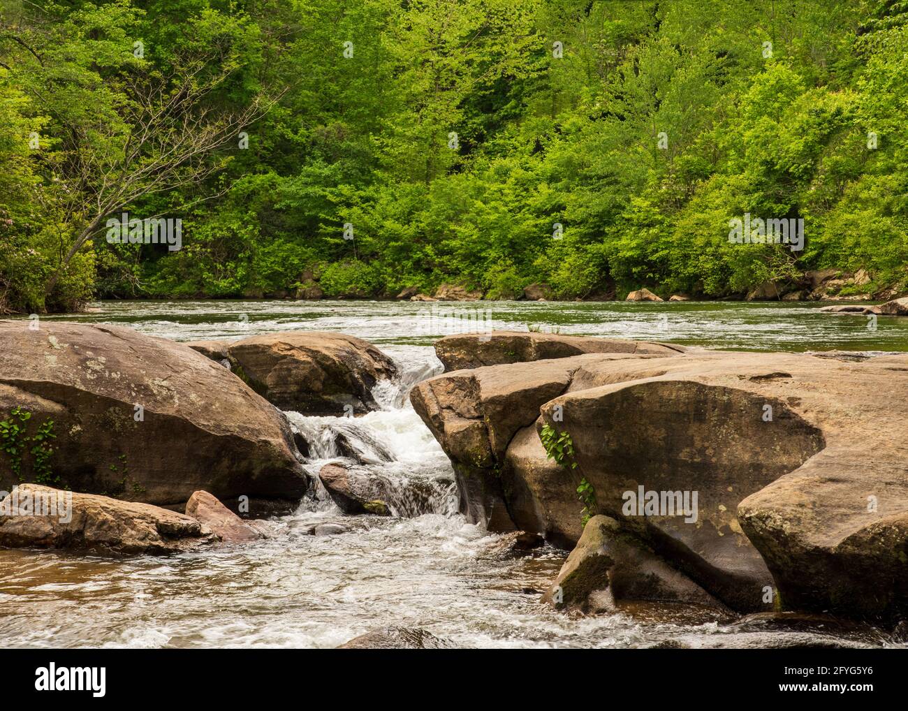 Rushing river flowing thru lush foliage in North Georgia. Toccoa River ...