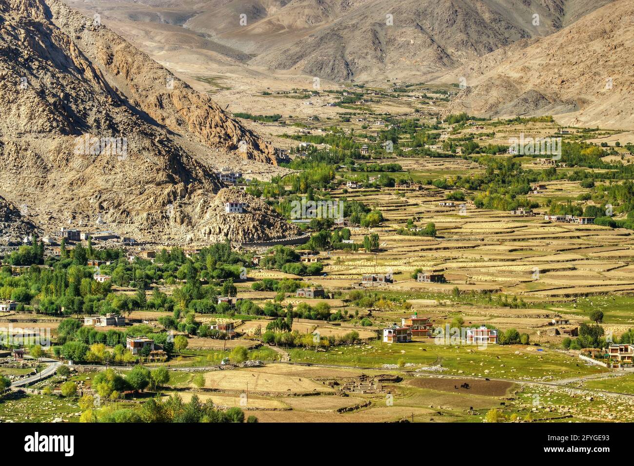 aerial view of ladakh landscape, green valley field witin barren ...
