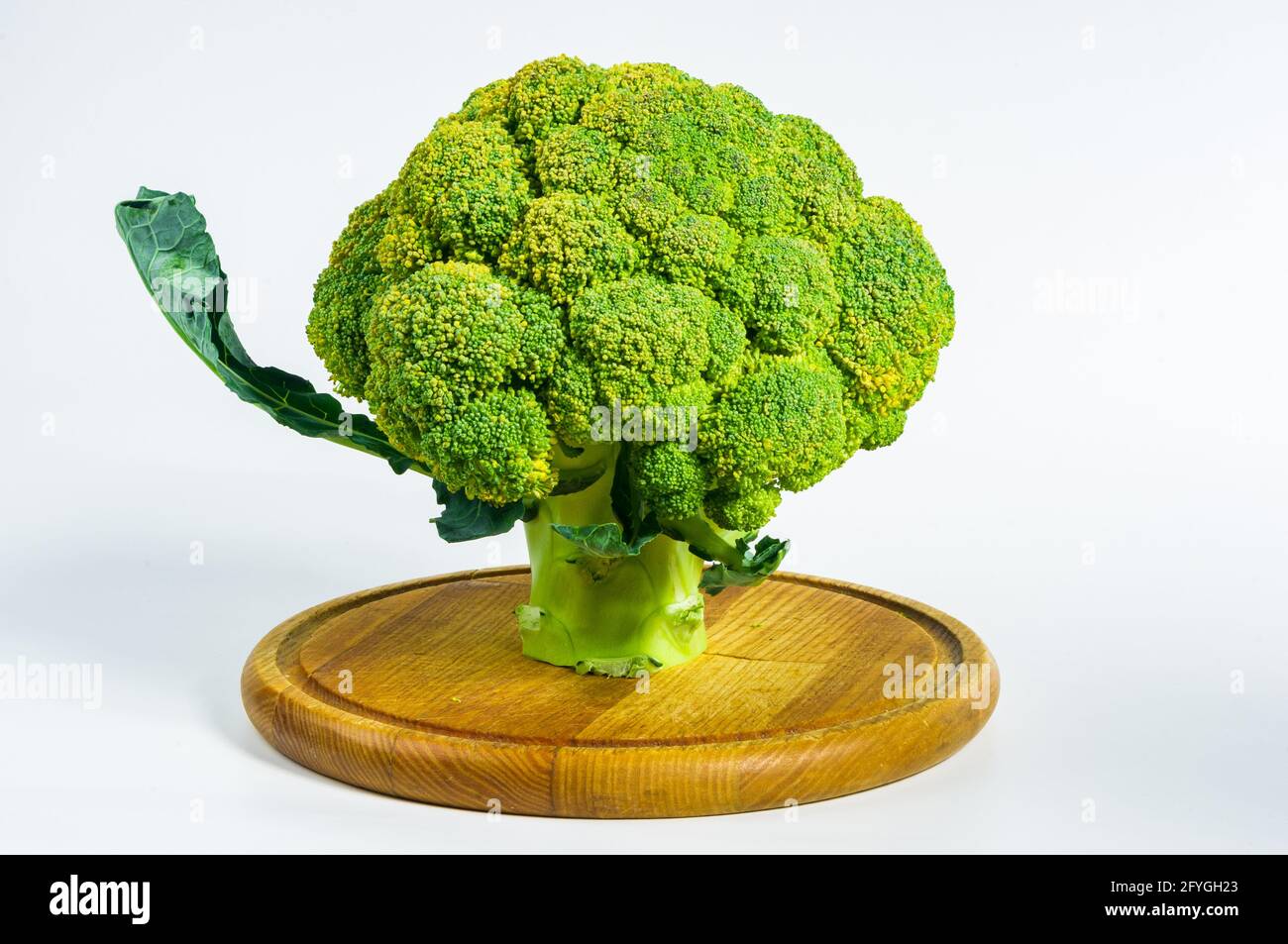 Fantasy mini landscape - tree made with broccoli on a white background ...