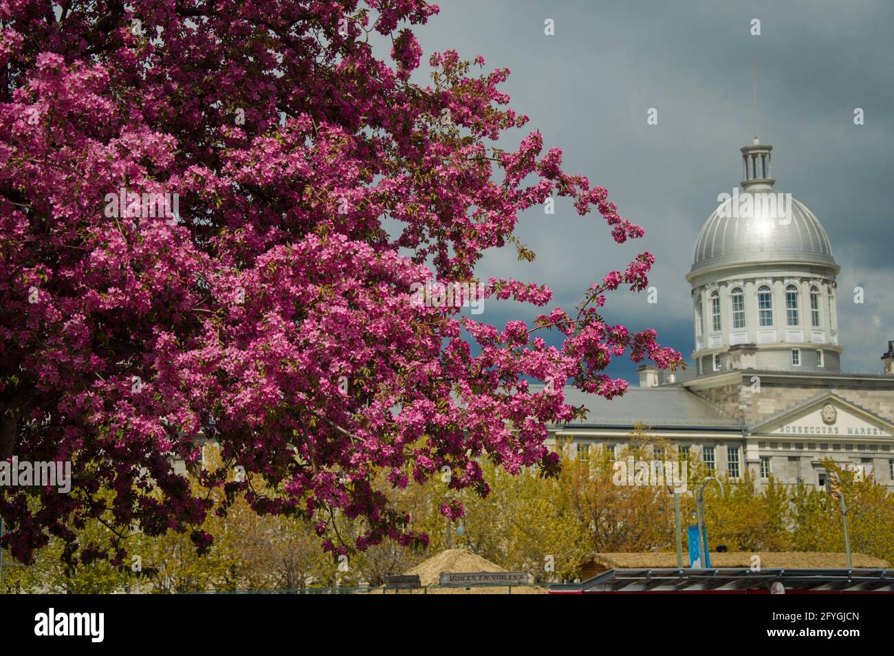 Montreal old port in Spring Stock Photo - Alamy