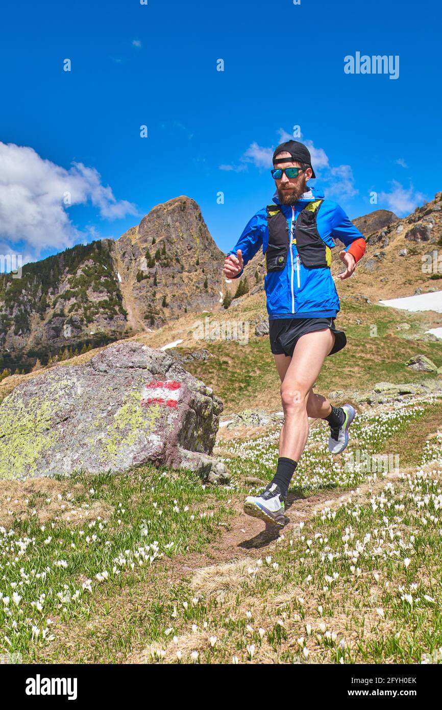 Downhill runner on reported mountain trail Stock Photo - Alamy