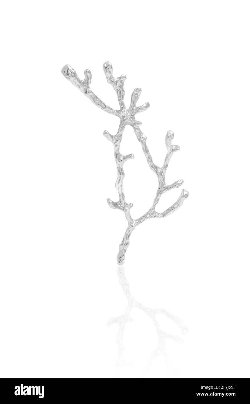 silver twig isolated on white Stock Photo - Alamy