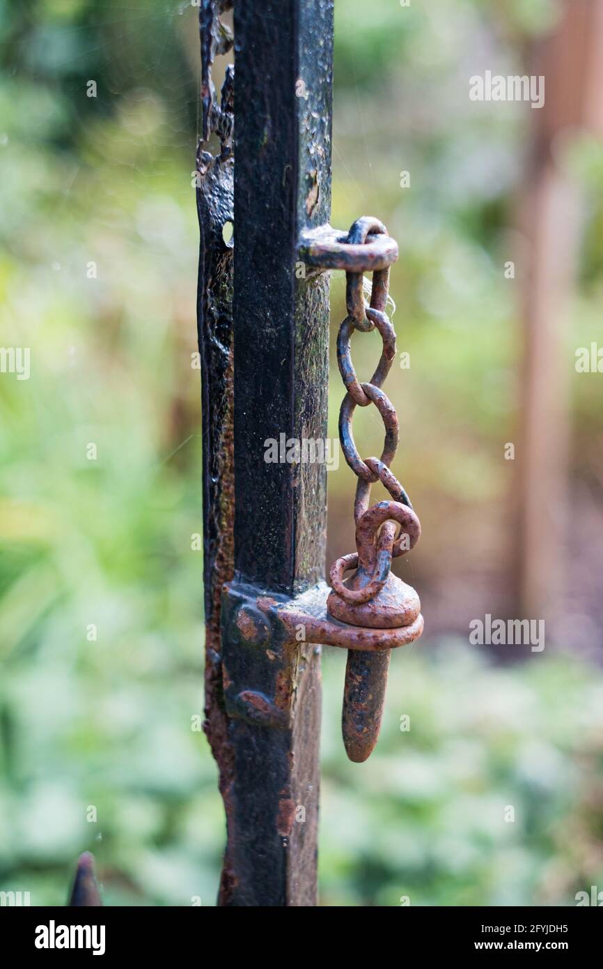 Thick peg hi-res stock photography and images - Alamy