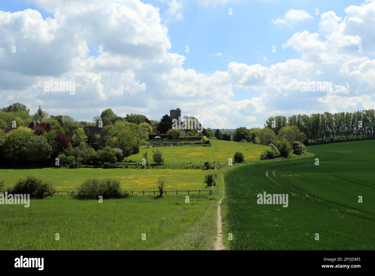 View across fields to St Peter and St Paul church, Boughton, Boughton ...