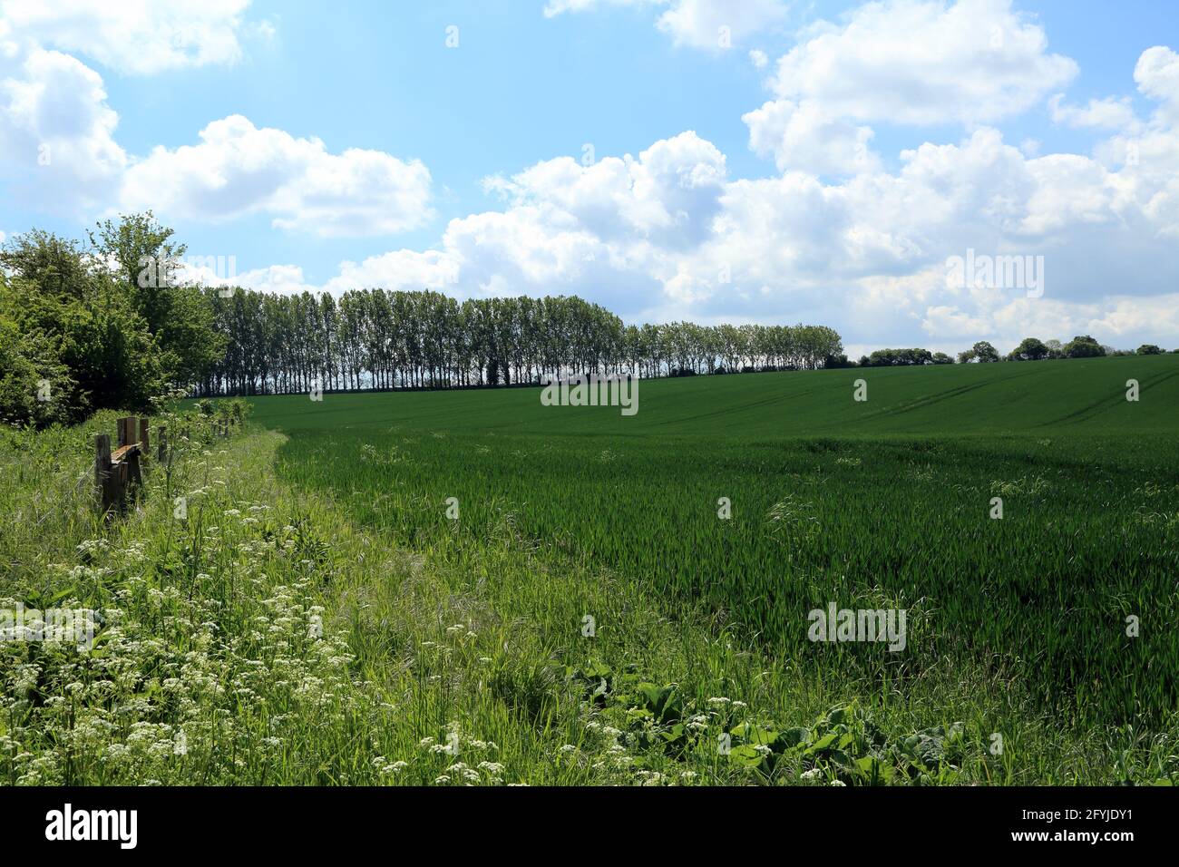 Boughton under blean kent england hi-res stock photography and images ...