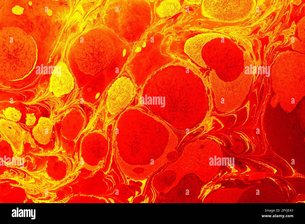 Abstract red yellow painting hi-res stock photography and images - Alamy