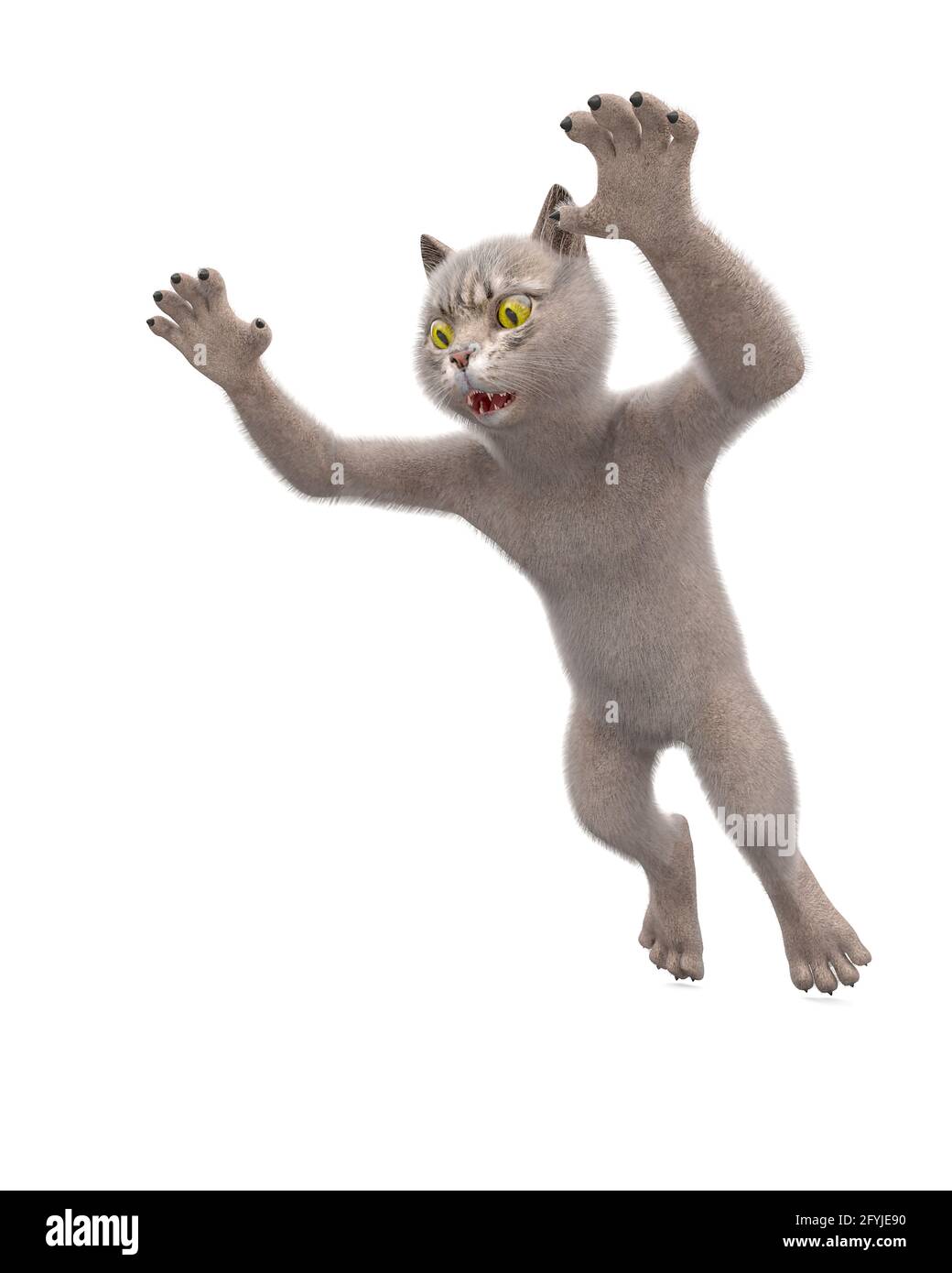 cat cartoon is jumping isolated in studio with white background, 3d ...