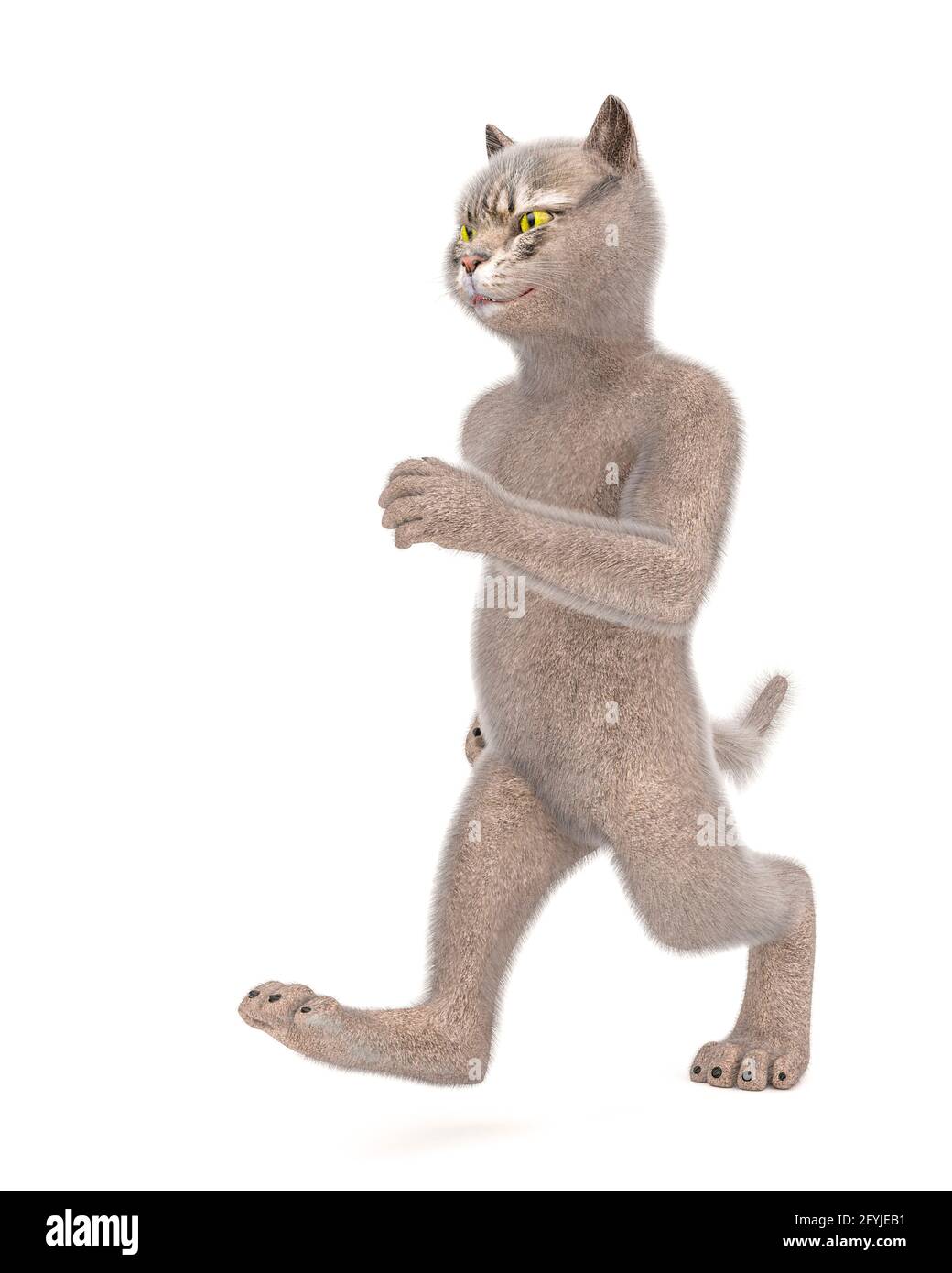 cat cartoon is walking isolated in studio with white background, 3d ...