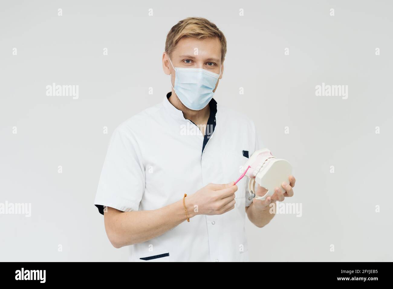 Dentist showing the correct dental hygiene using mock-up of skeleton of ...