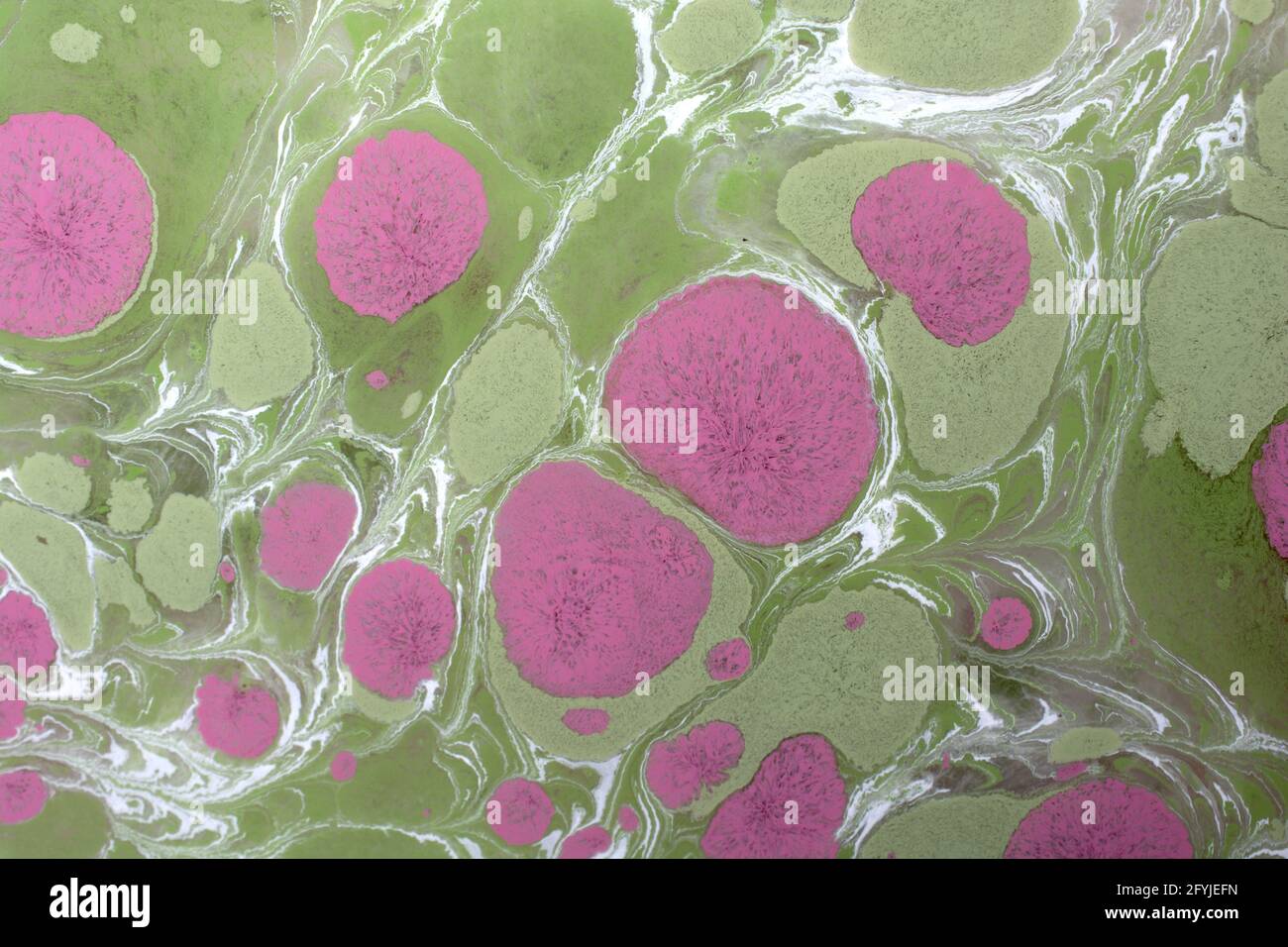 Beautiful painting of abstract purple figures on a green background ...