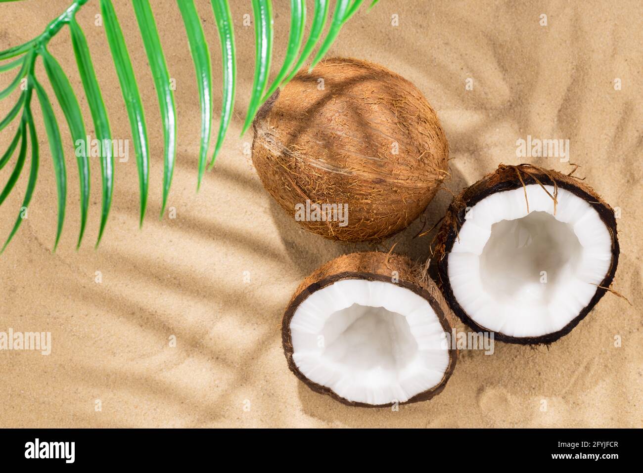coconut on the sand. Tropical beach and coconuts, background with copy ...