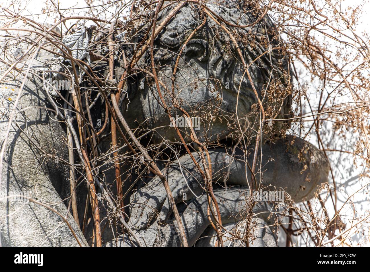 Overgrown statue hi-res stock photography and images - Alamy