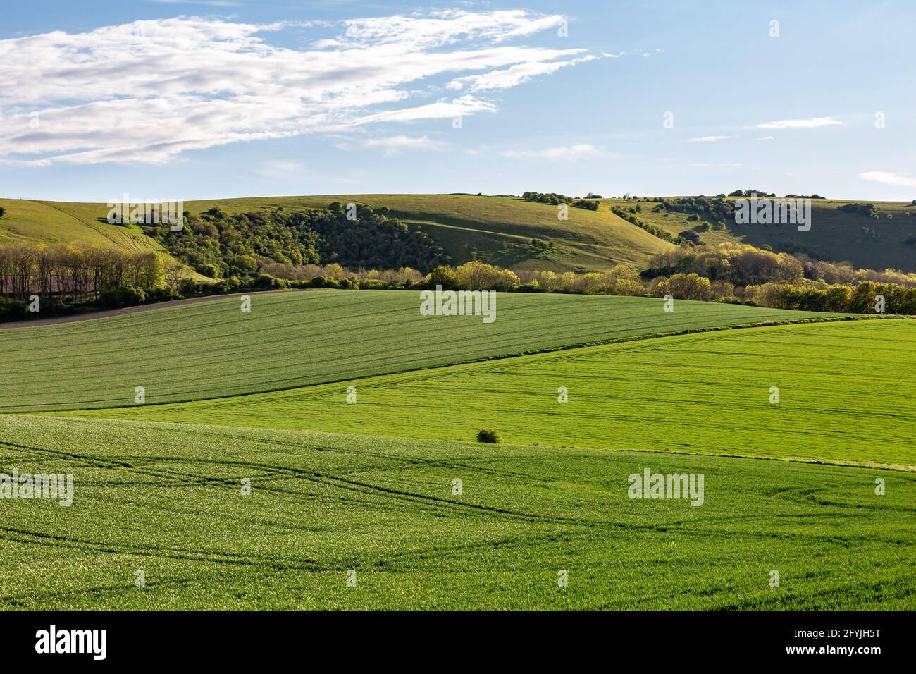 Green fields in Sussex on a spring evening Stock Photo - Alamy