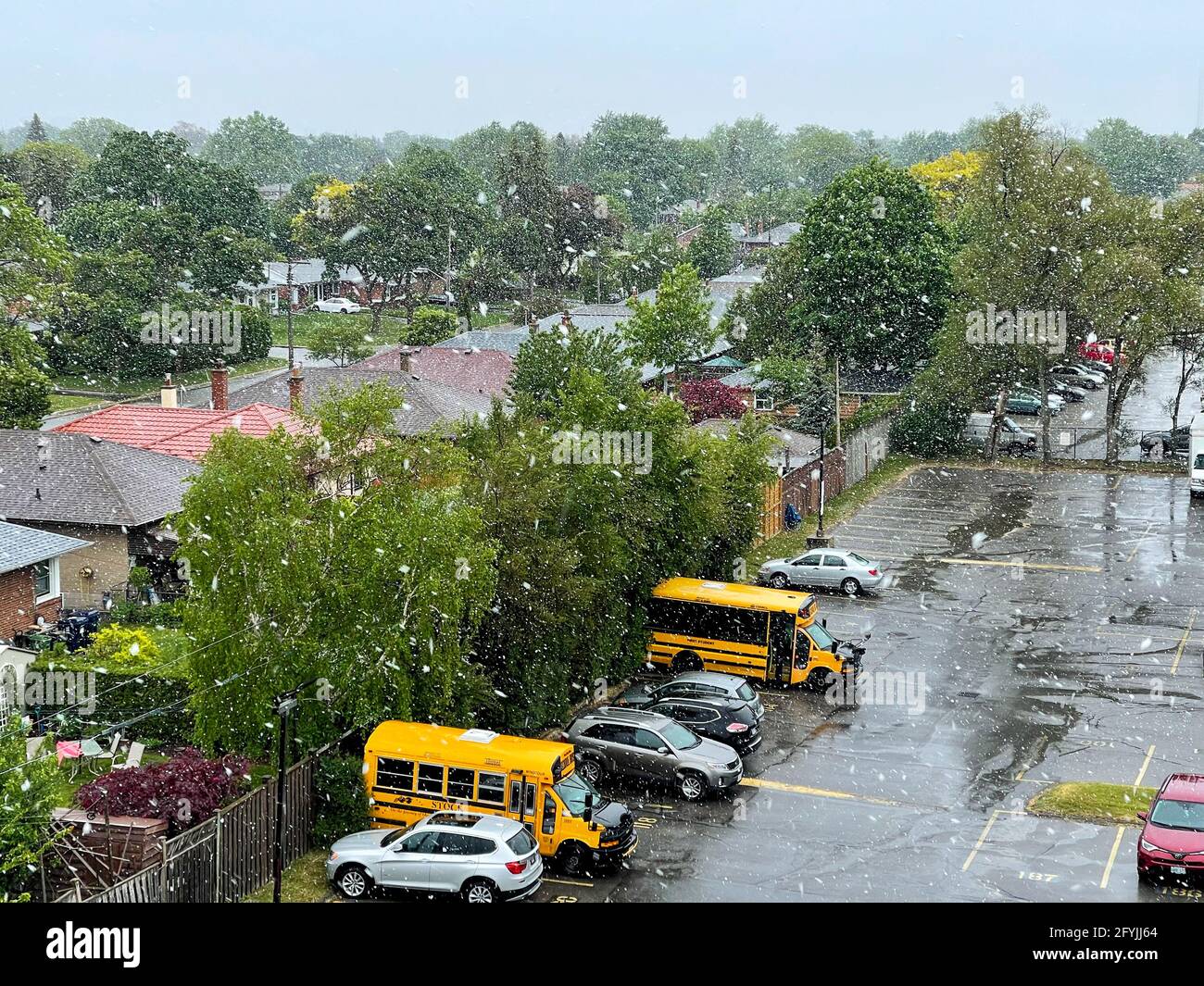 Snow falling in the city of Toronto, Canada. It is the end of May and ...