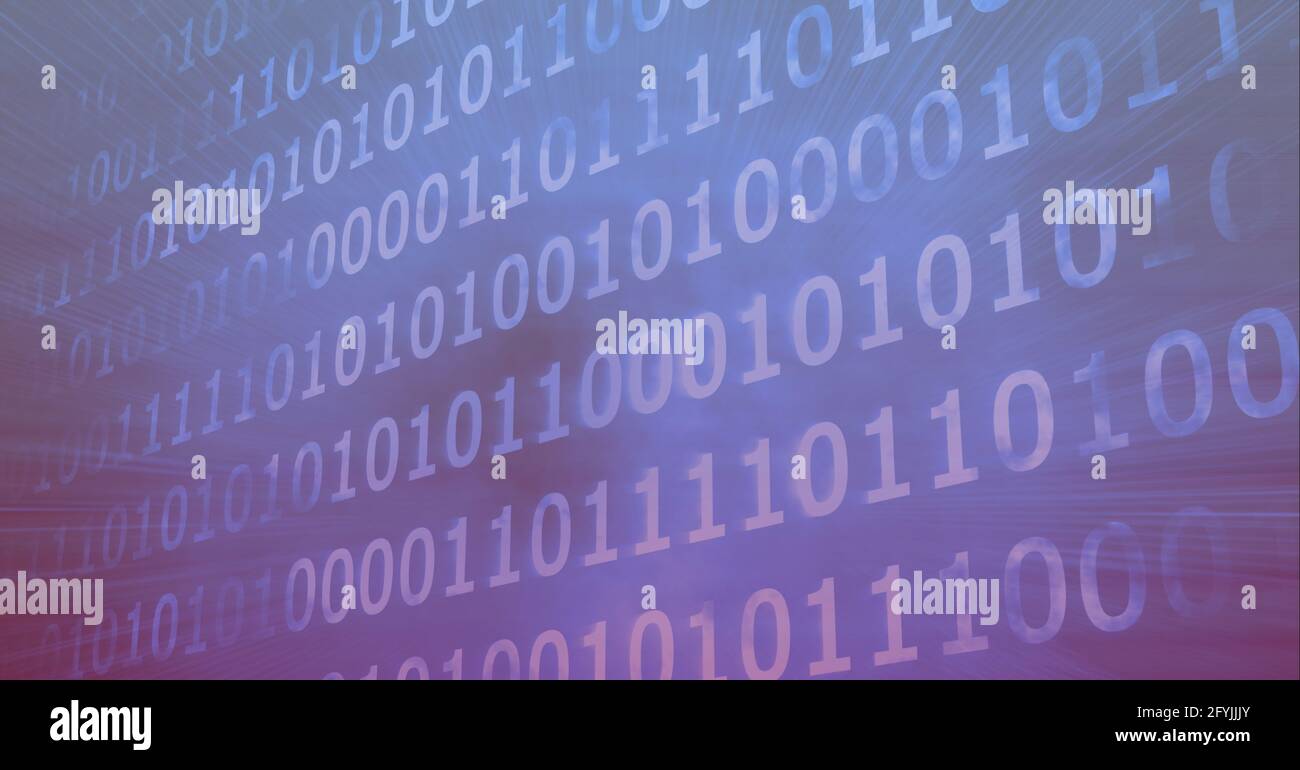 Composition Of Binary Coding Processing Over Purple Background Stock