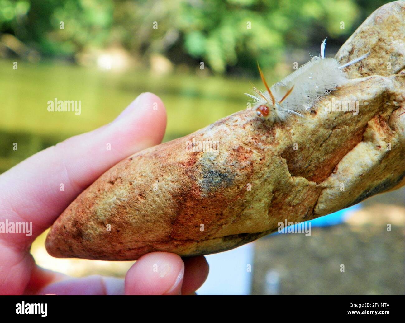 Goshen hole hi-res stock photography and images - Alamy