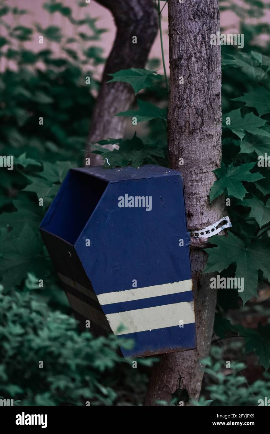 Vertical closeup shot of a blue metal mailbox on a tree Stock Photo - Alamy