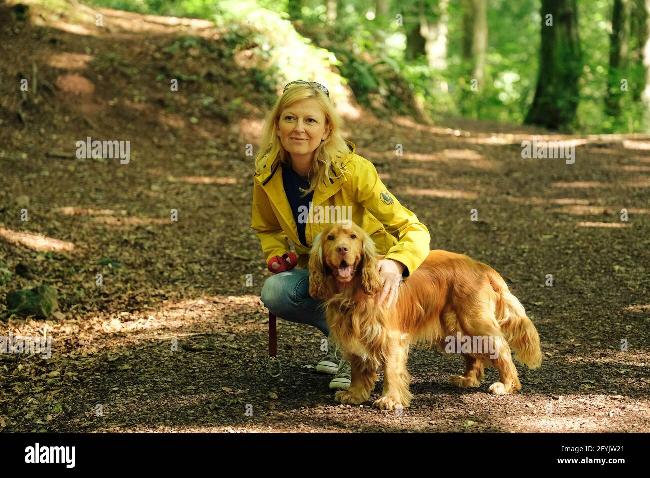 Woman in a yellow coat walking and playing with her cocker spaniel dog ...