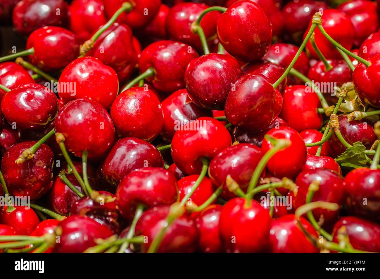 Picked, red, ripe cherry fruits in a wooden box, on a plantation in ...