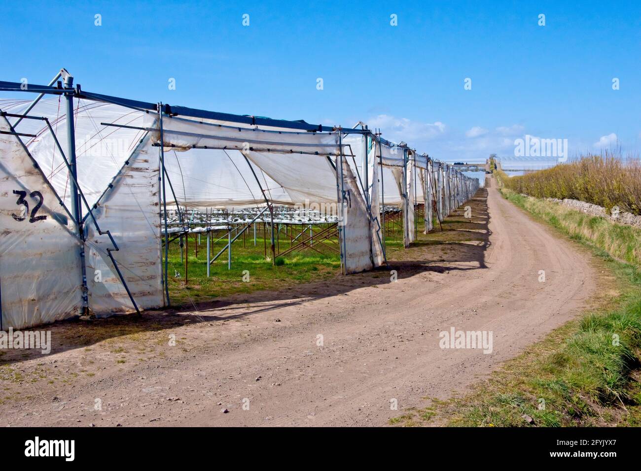 Farming farm greenhouse greenhouses hi-res stock photography and images - Alamy