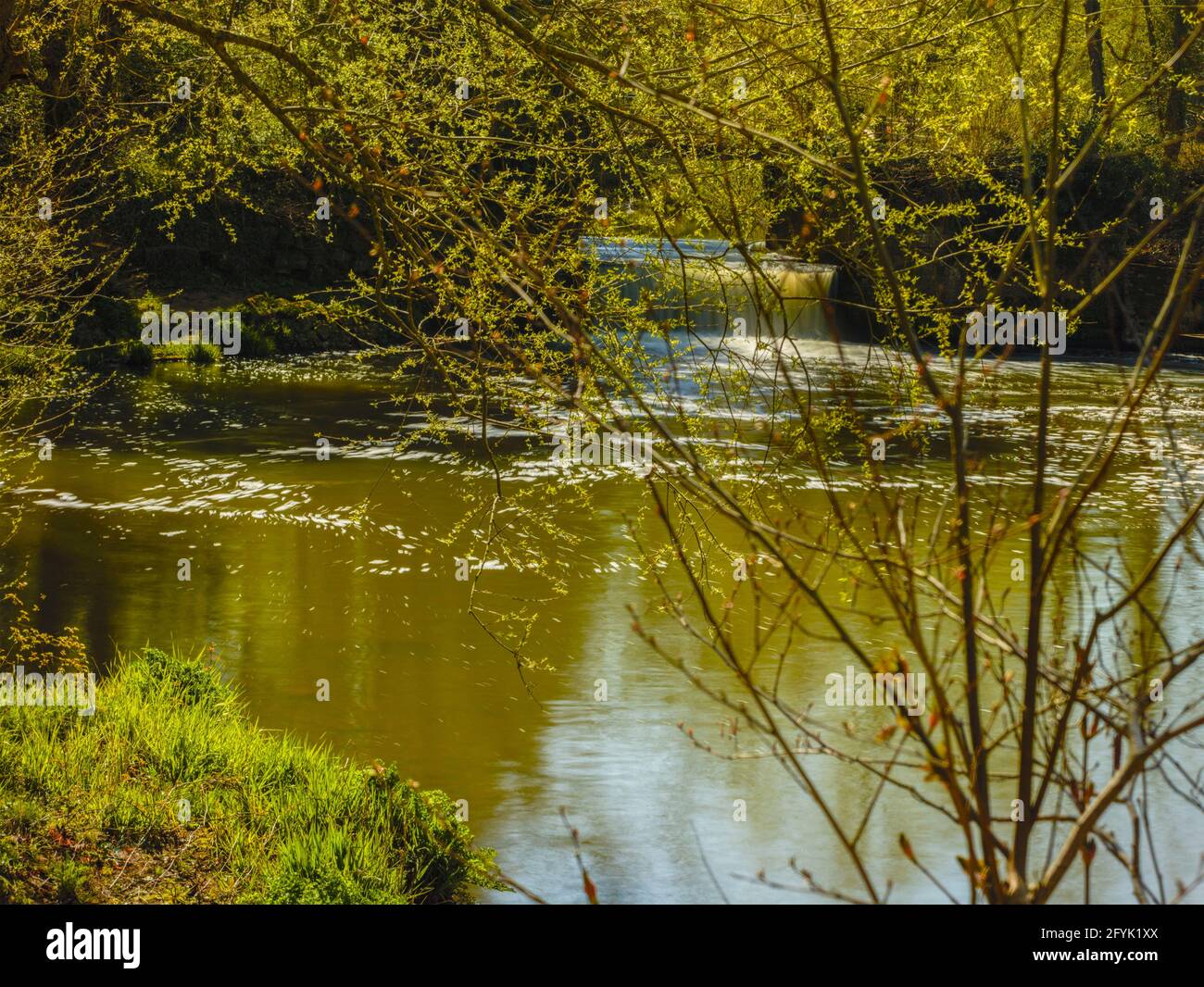 Section of the River Medway near Tonbridge, Kent, as it runs through ...