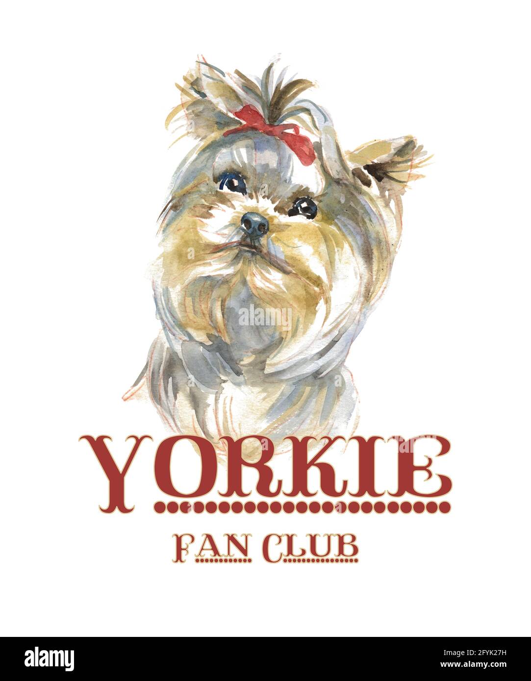 Yorkie fan club Yorkshire terrier dog on a white background Stock Photo ...