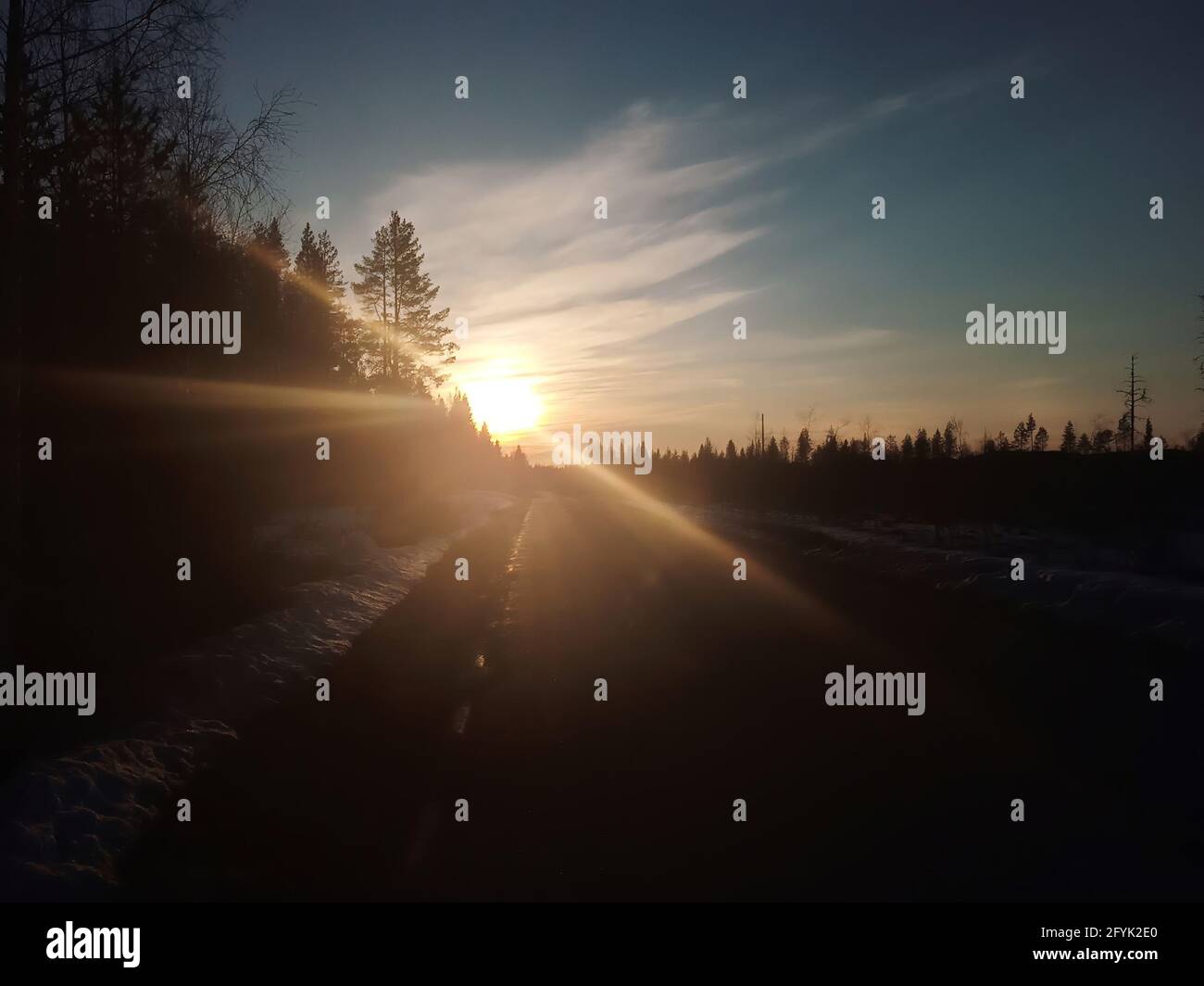 Sun beams over forest silhouette and road Stock Photo - Alamy