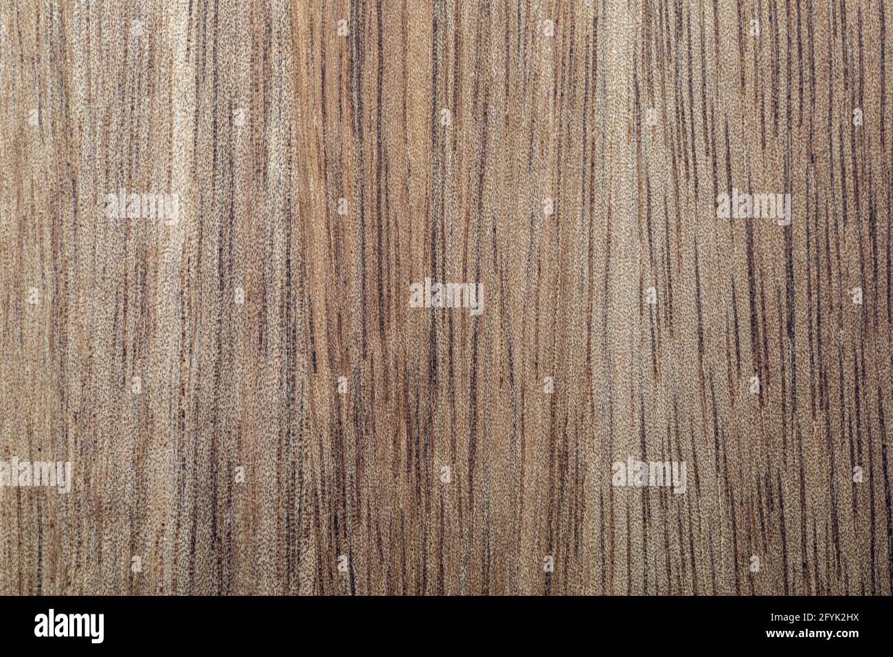 Acacia wood texture close-up. Rustic look with veins, knots and copy ...
