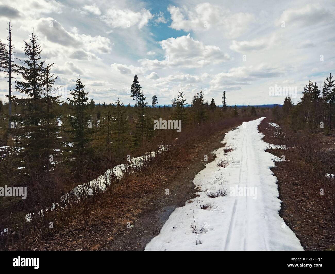 Melting snow on a small road in Swedish Lapland Stock Photo - Alamy