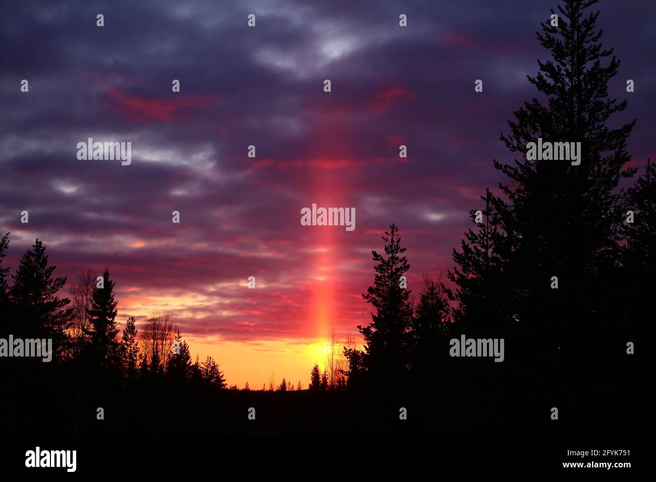 Sun pillar and evening sky with forest silhouette Stock Photo - Alamy