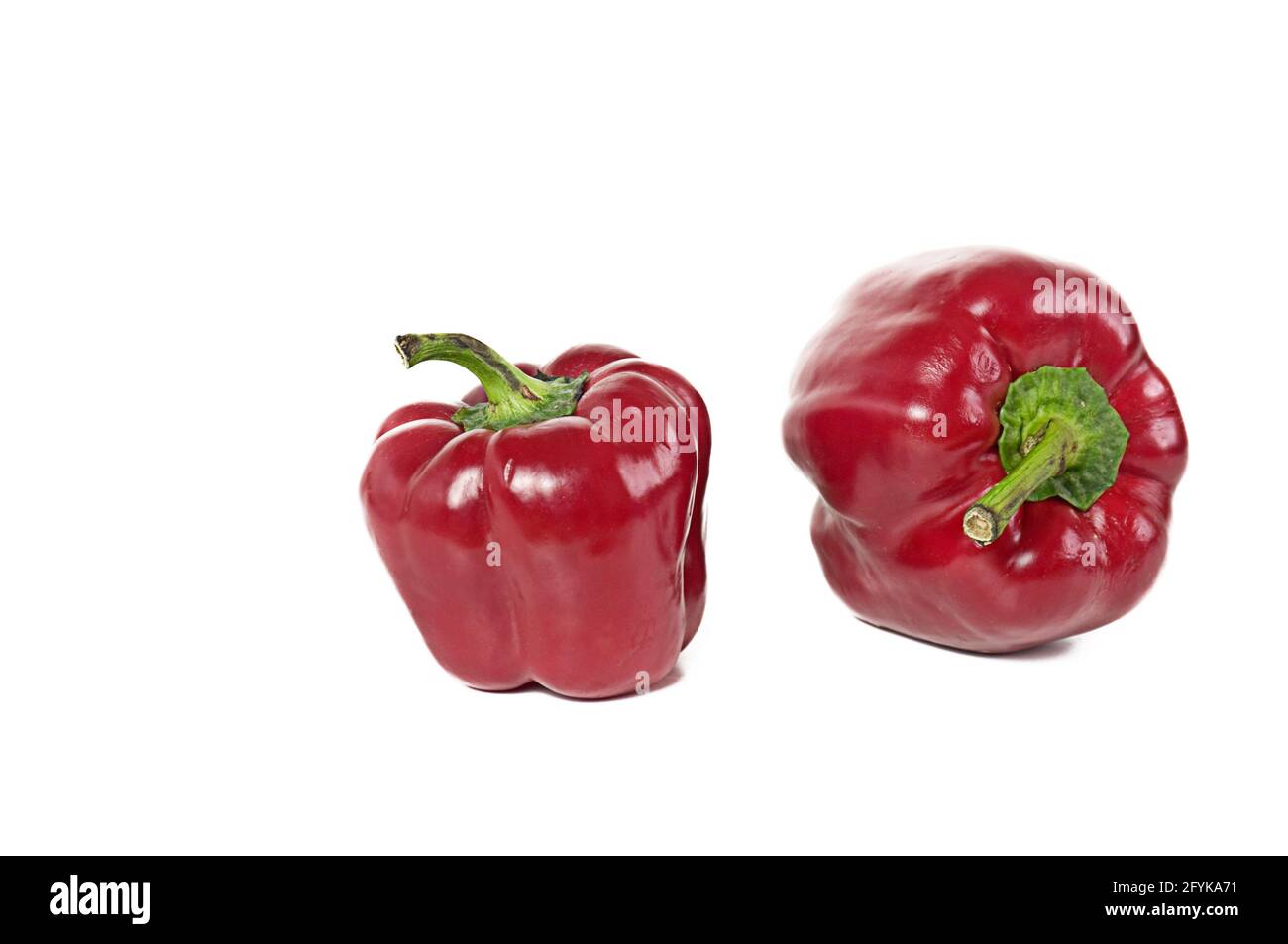 Two organic red peppers just harvested in the Valencian garden in Spain ...