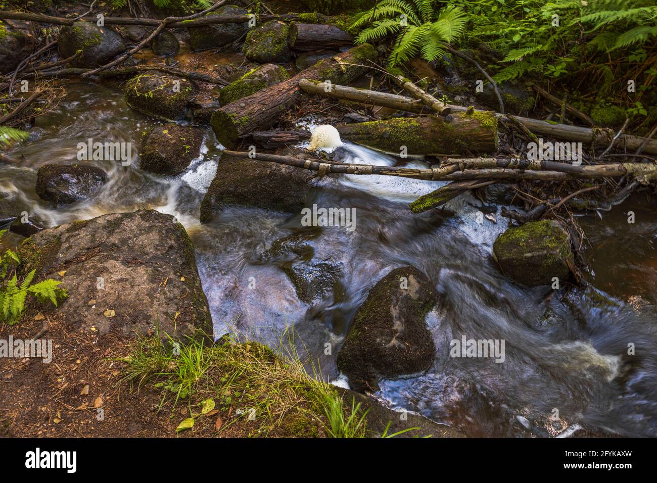Beautiful view of stream on rocky landscape. Beautiful nature landscape ...