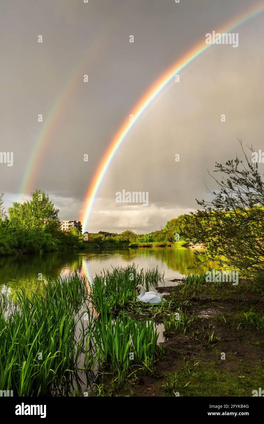 Vertical rainbow hi-res stock photography and images - Alamy