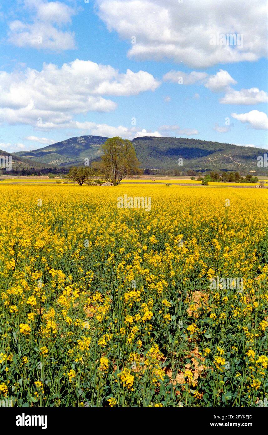 Coza hi-res stock photography and images - Alamy