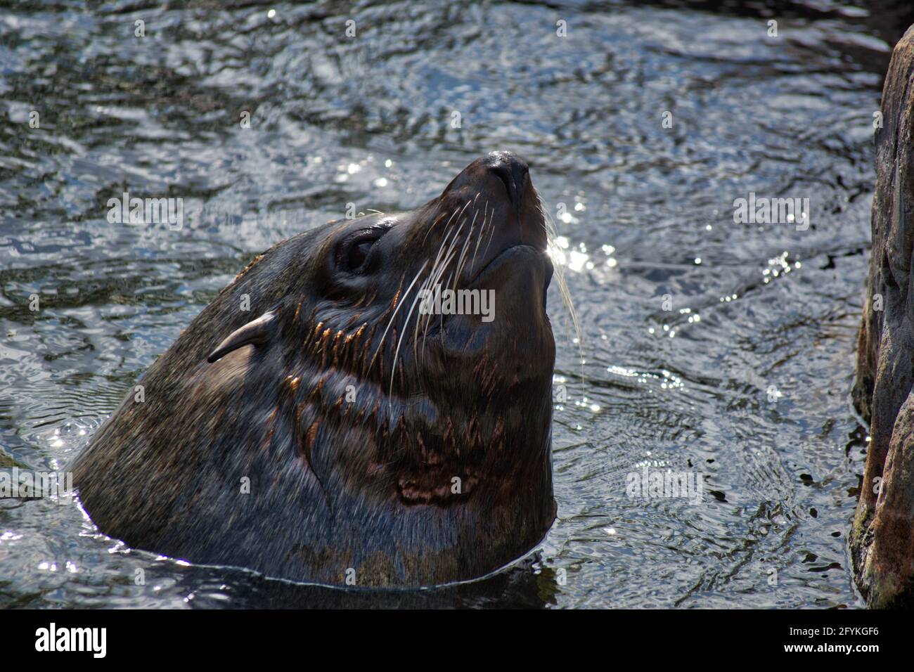Water friendly hi-res stock photography and images - Alamy