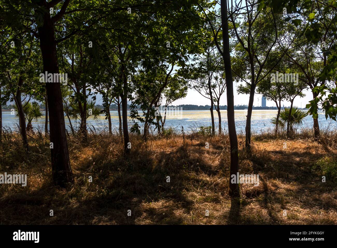 Kent Lagoon High Resolution Stock Photography and Images - Alamy