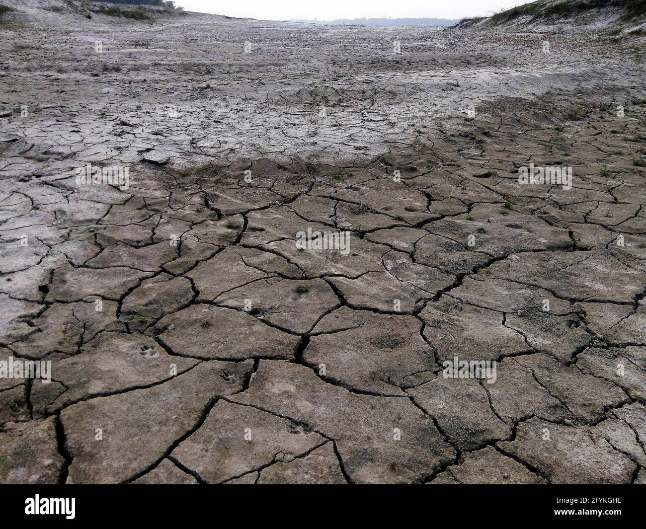 The river is drying up. Detail of cracked soil or earth after drought ...