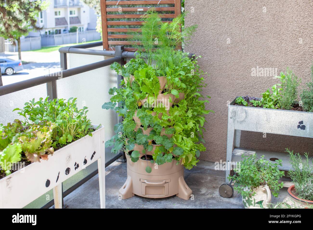 Urban Vertical Vegetable Garden