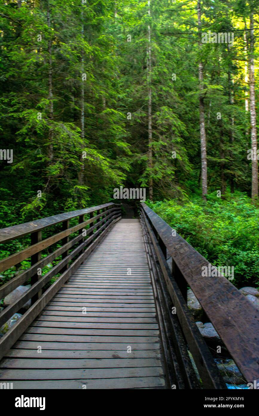 Narrow wooden pedestrian bridge through the woods Stock Photo - Alamy