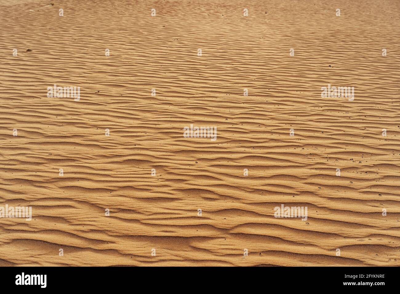 Wavy sand texture in Dubai desert close up Stock Photo - Alamy