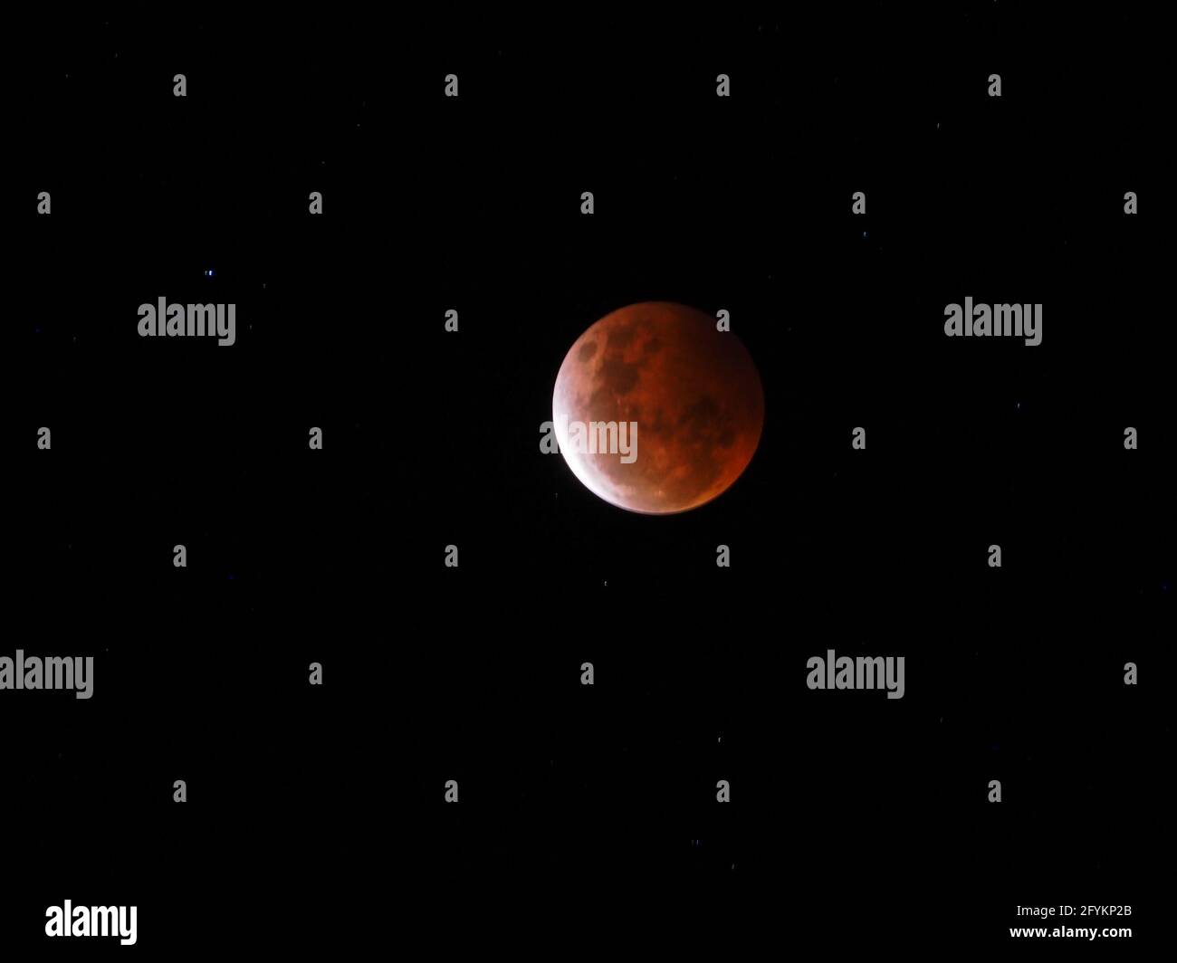 Blood red super moon during the lunar eclipse, and a sprinkling of ...