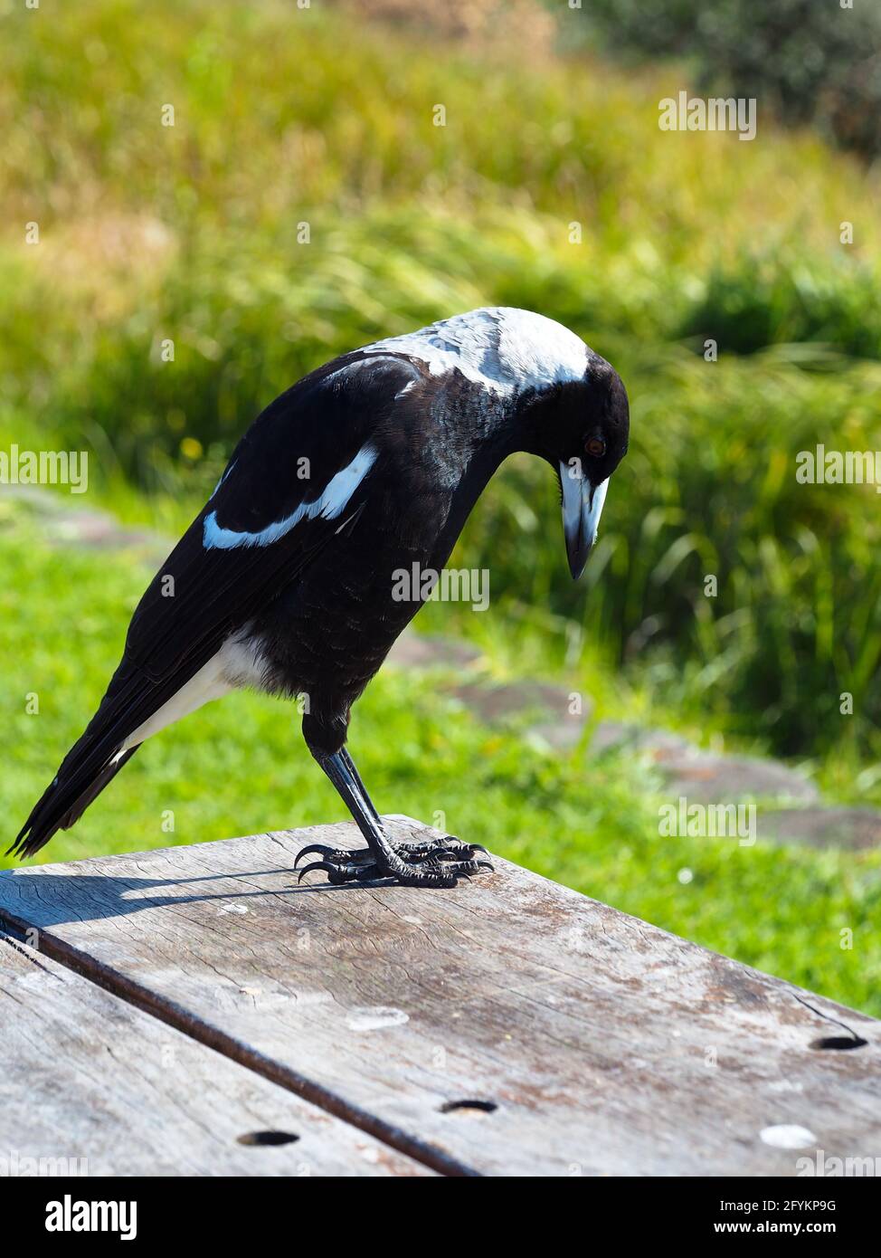 Mid western nsw hi-res stock photography and images - Alamy
